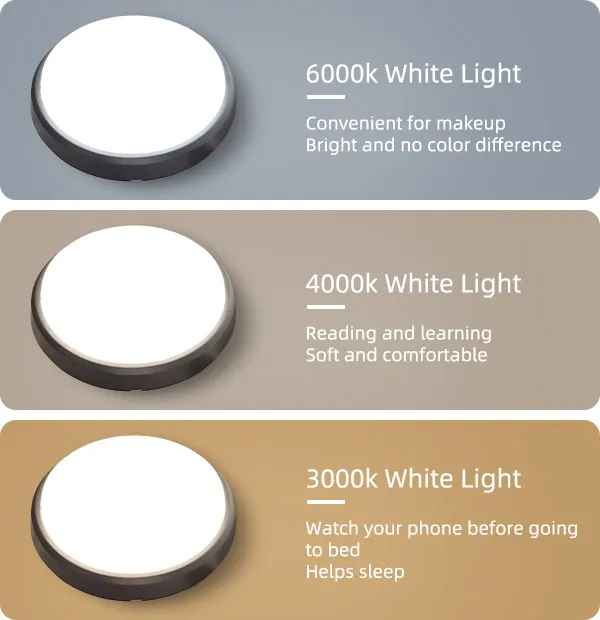 IP65 Waterproof Oval LED Bulkhead Light Black - ELONG LIGHT