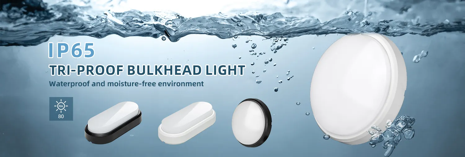 IP65 Waterproof Round LED Bulkhead Light - ELONG LIGHT